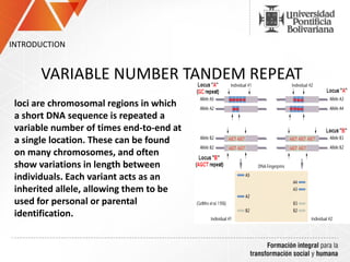 Seminario biología molecular. Comparison of multiple-locus variable-number tandem-repeat ...