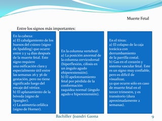 Muerte Fetal | PPTX