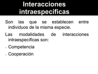 Diapositivas interacciones naturales | PPTX