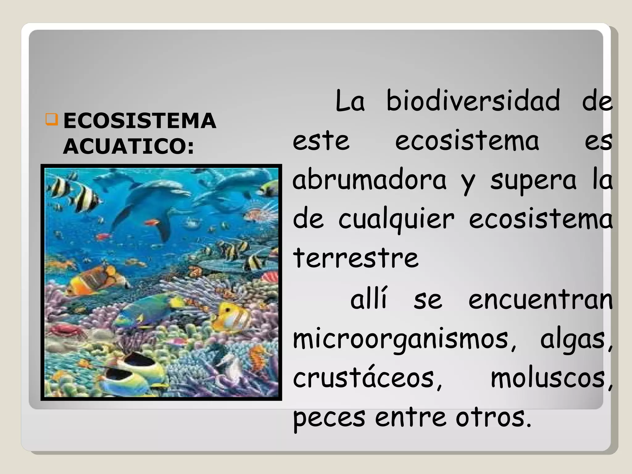 ECOSISTEMA | PPT | Geography | Science