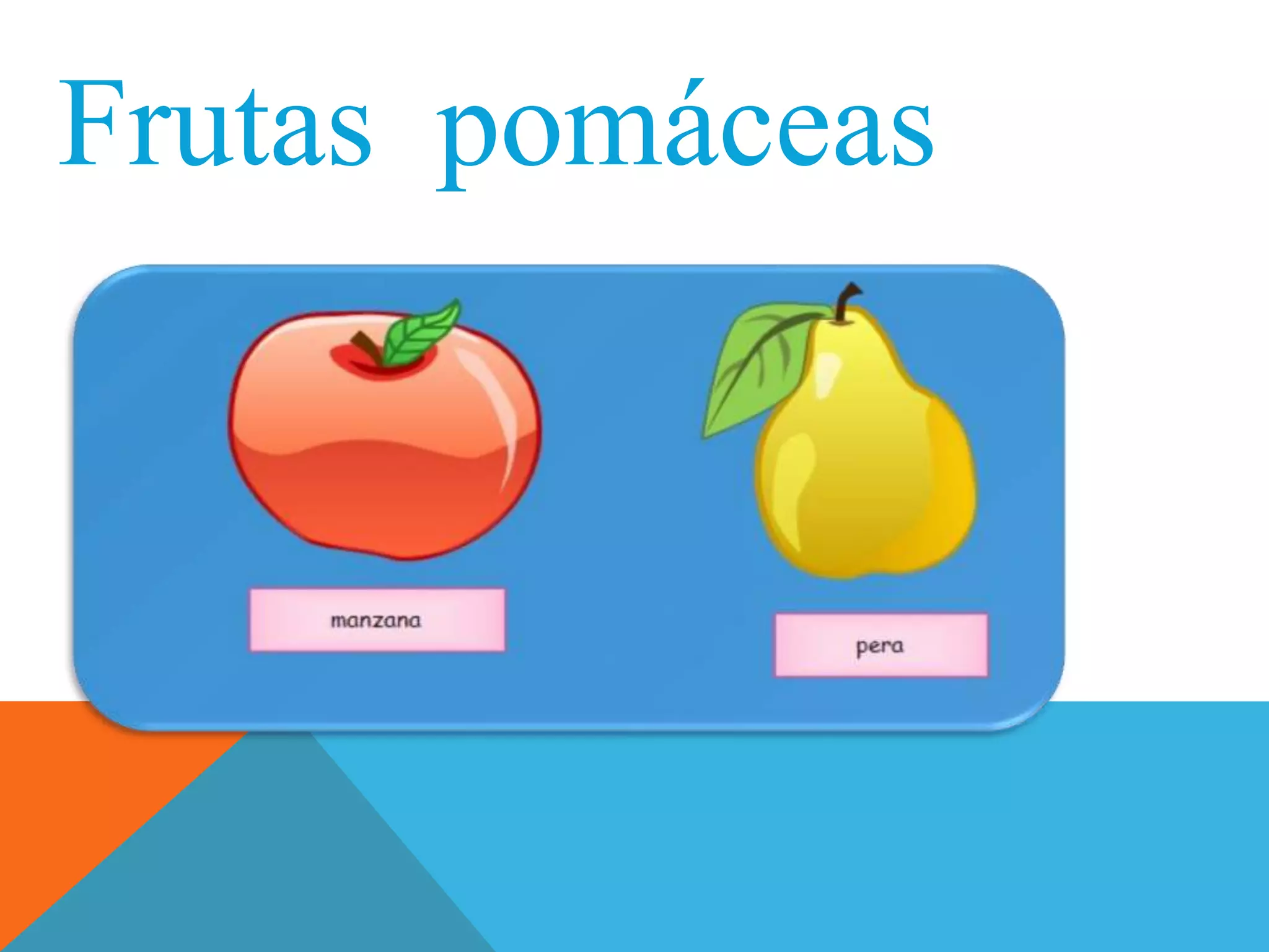 Diapositivas las frutas en edraw | PPTX