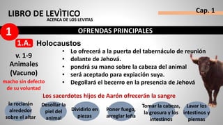 Libro de LEVITICO, Origen, llamado de Dios y Ritos primeros, del cap. 1 ...