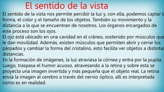 DIAPOSITIVAS LOS SENTIDO LA VISTA.pptx