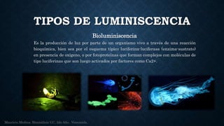 Análisis Instrumental: Luminiscencia y sus tipos. | PPT