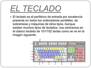 Diapositivas perifericos de entrada | PPTX