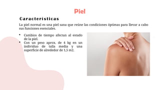 Diapositivas Piel.pptx Introducción a la piel y sus anexos más examen ...