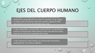 Anatomia humana | PPTX