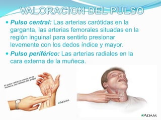 Diapositivas primeros auxilios | PPTX