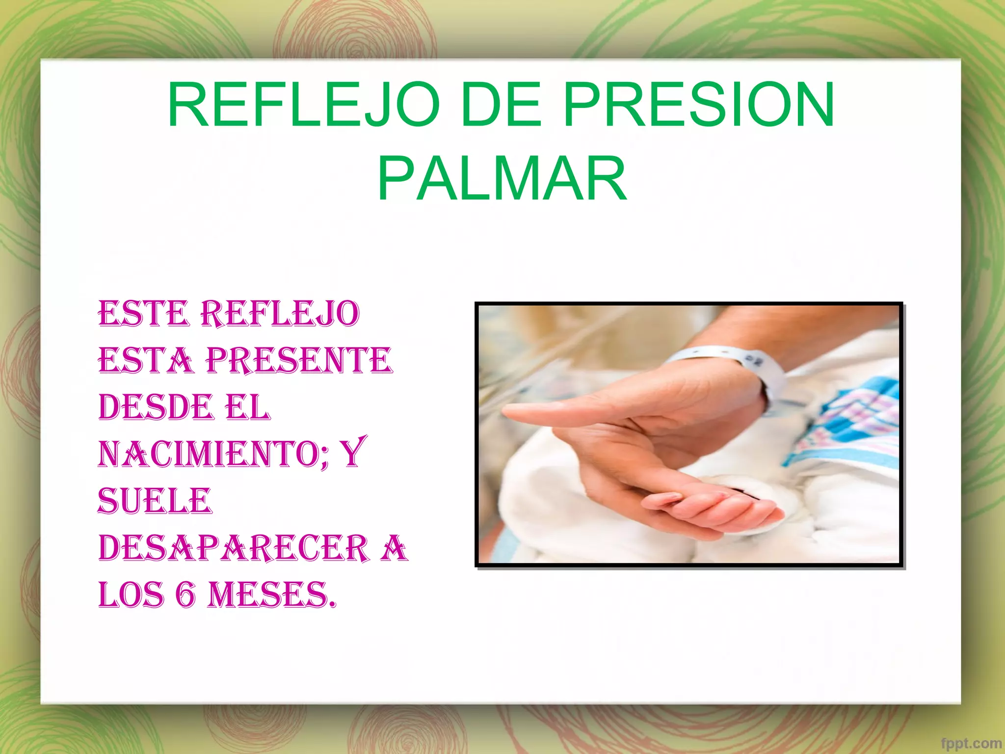 los reflejos | PPT