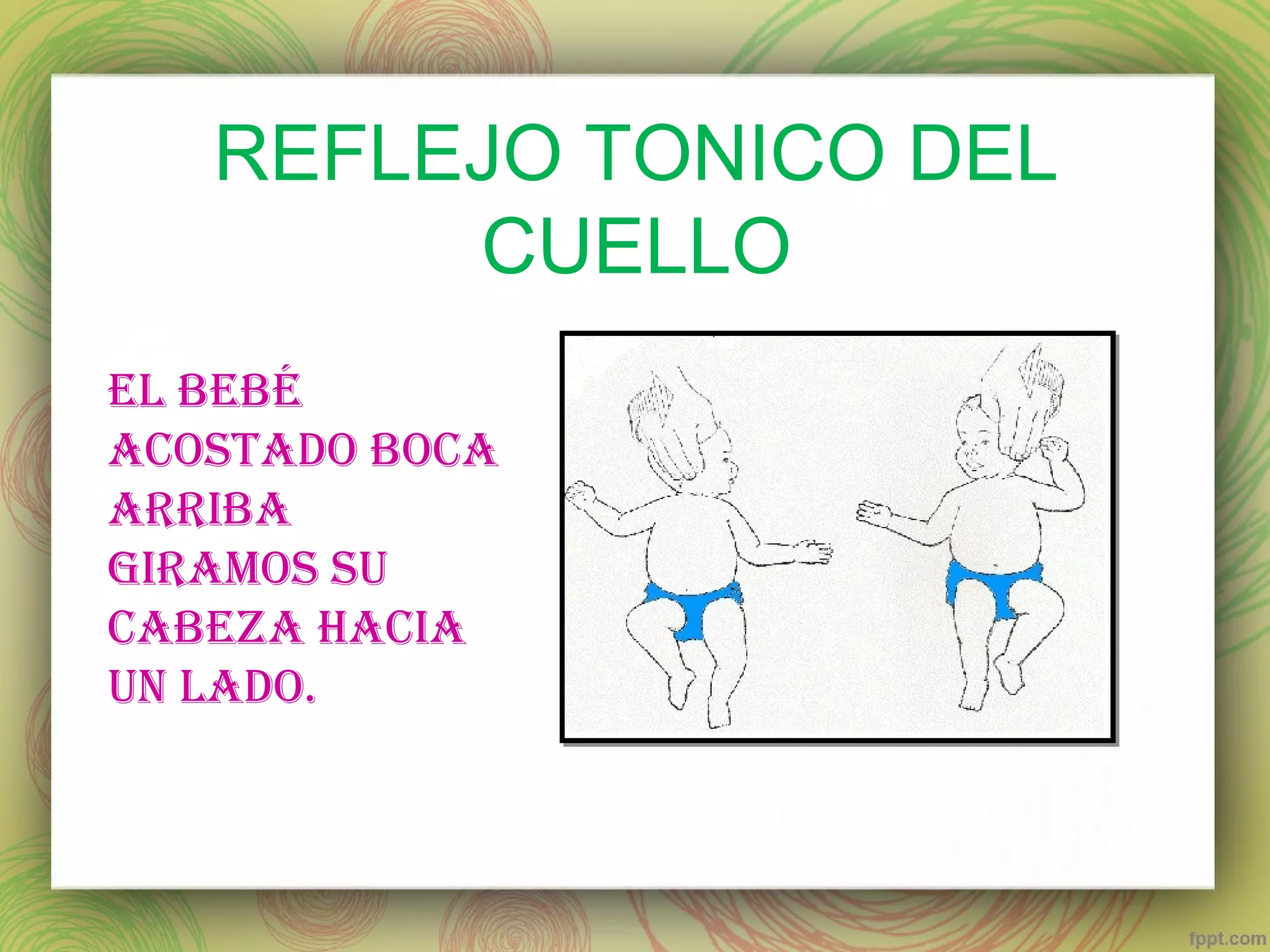 los reflejos | PPT