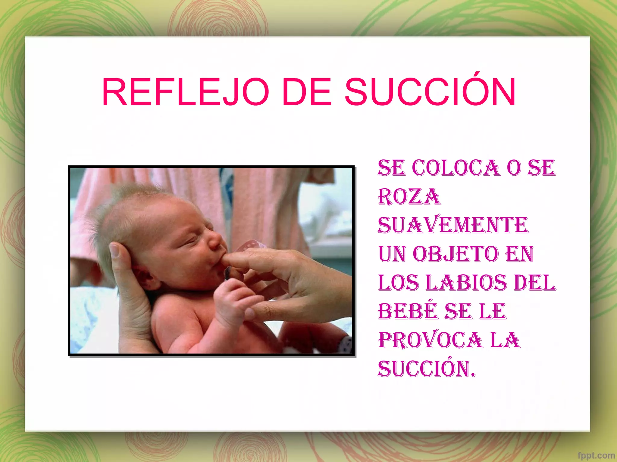 los reflejos | PPT