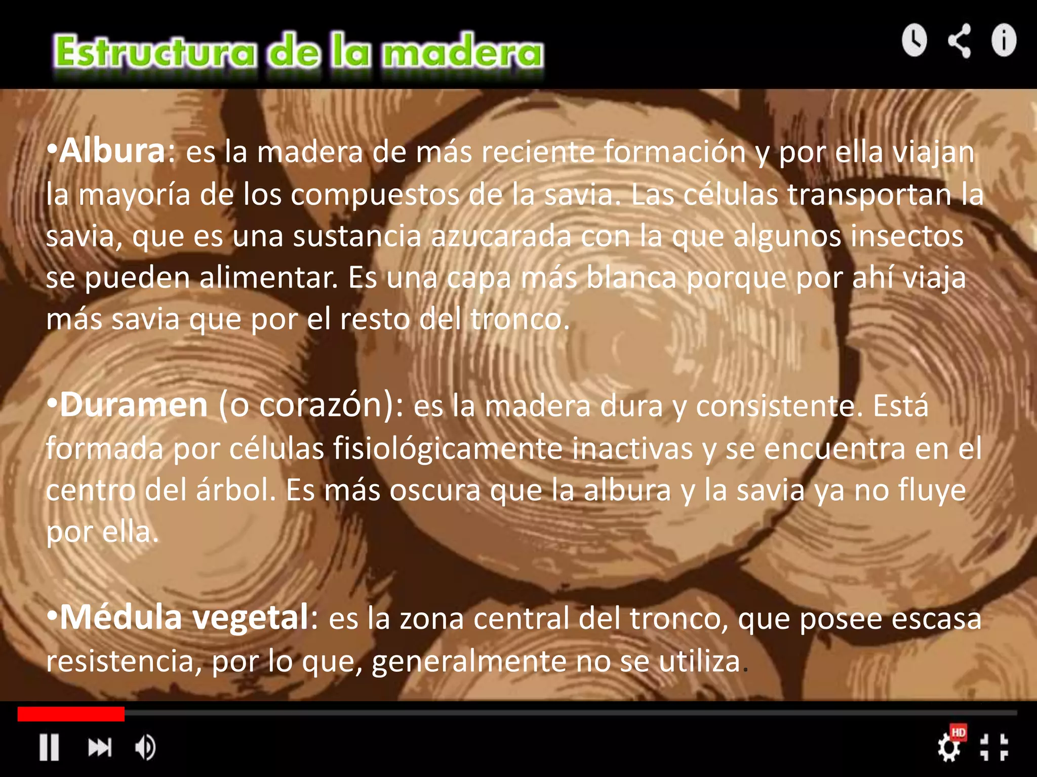 Propiedades de la madera y sus usos en la construcción, edificios ...