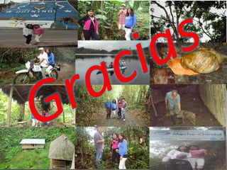 Reserva Ecológica Mache-Chindul por Verónica Tigse y Gabriela Jácome | PPTX