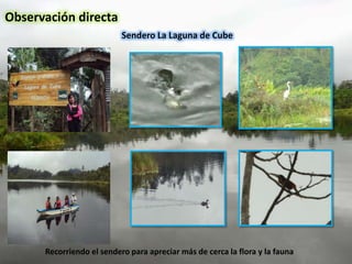 Reserva Ecológica Mache-Chindul por Verónica Tigse y Gabriela Jácome | PPTX