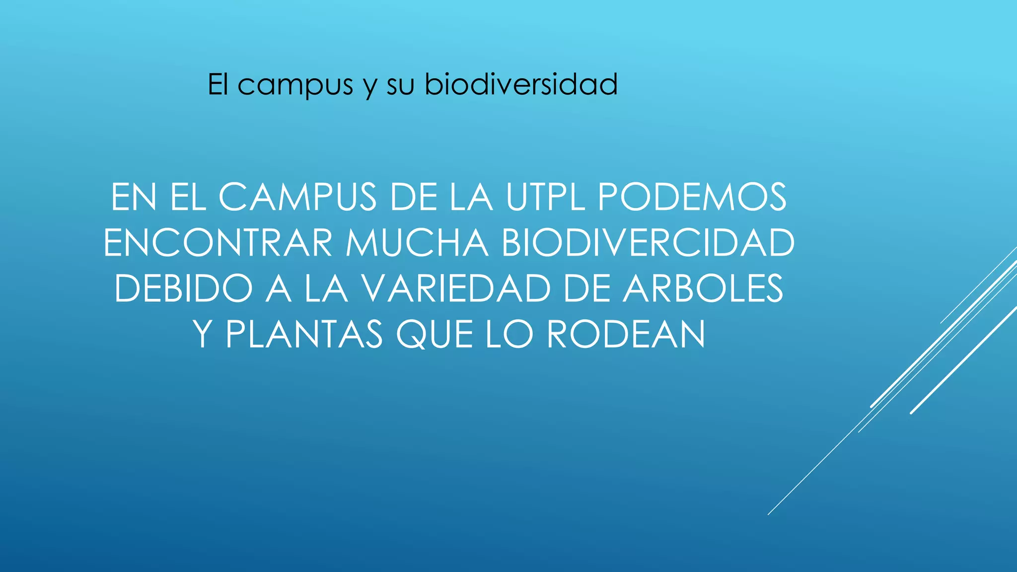 Diapositivas campus UTPL | PPTX