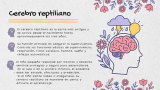 La evolución del cerebro humano y su impacto en la educación ...