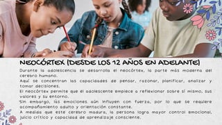 La evolución del cerebro humano y su impacto en la educación ...