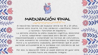 La evolución del cerebro humano y su impacto en la educación ...