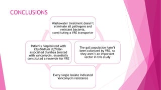Vancomycin-resistant enterococci with vanA gene in treated municipal ...