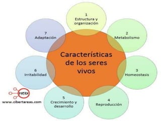 Diapositivas seres vivos | PPTX