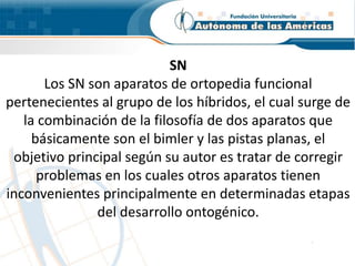 Diapositivas sn11 | PPTX