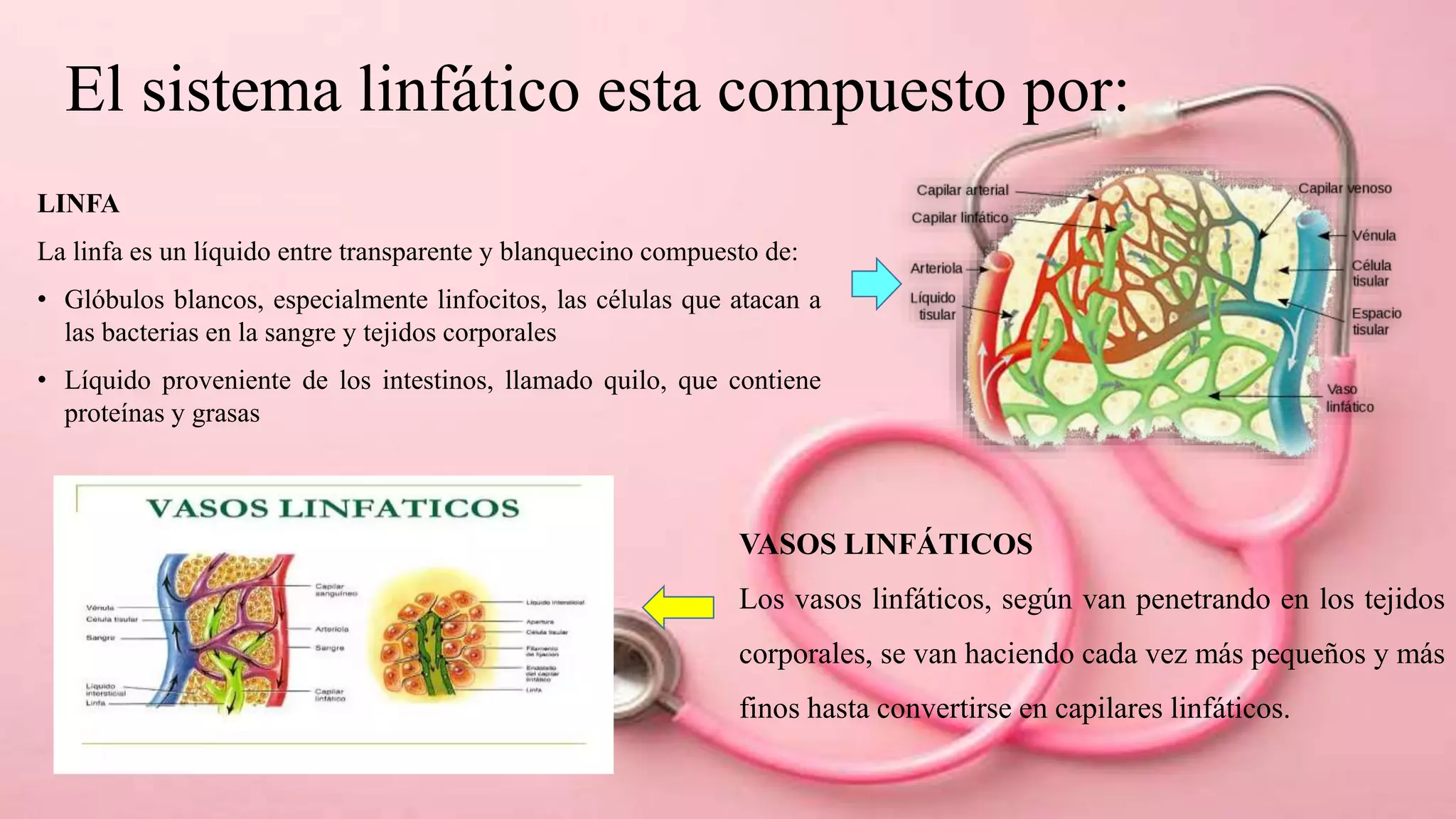 DIAPOSITIVAS SOBRE EL SISTEMA LINFATICO (1).pptx