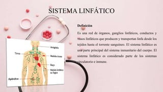 DIAPOSITIVAS SOBRE EL SISTEMA LINFATICO (1).pptx