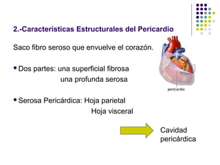 Diapositivas tema tres | PPT