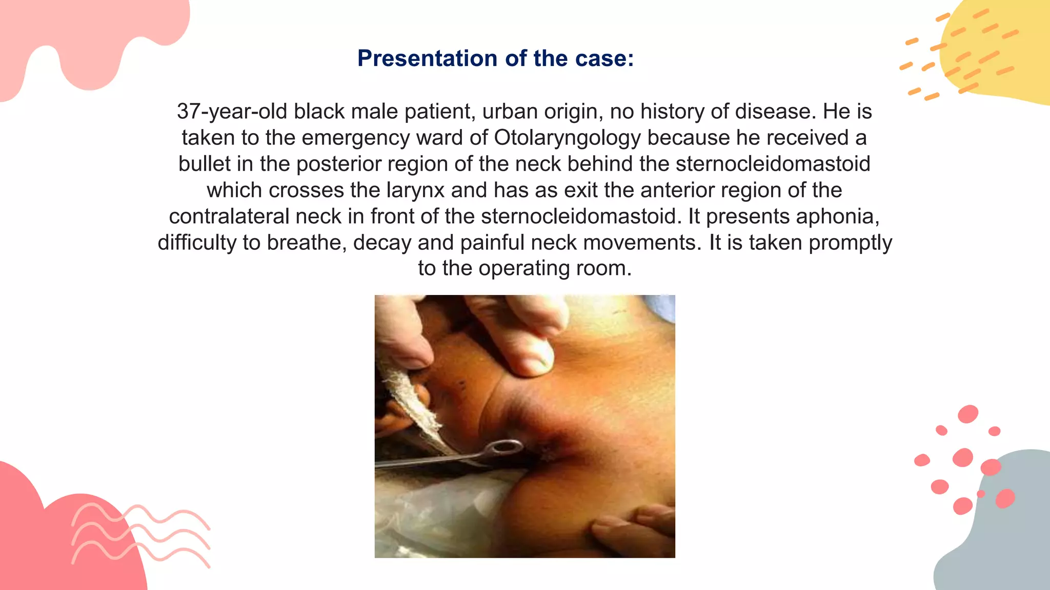 Diapositivas vozz (2) (3).pptx