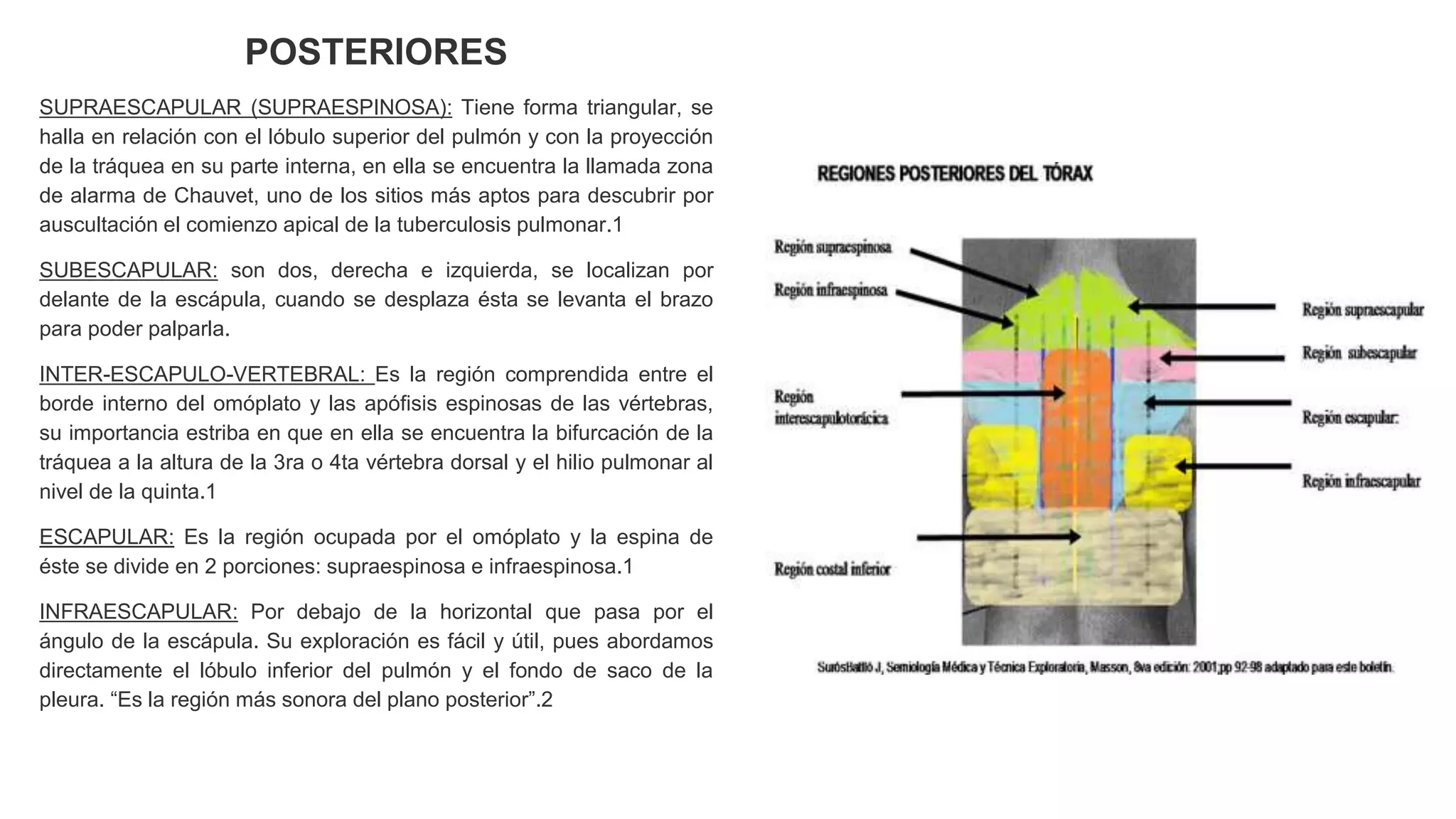ANATOMIA DE ESPACIO INTERCOSTAL Y MEDICIÓN DE PULSO ARTERIAL | PPTX ...
