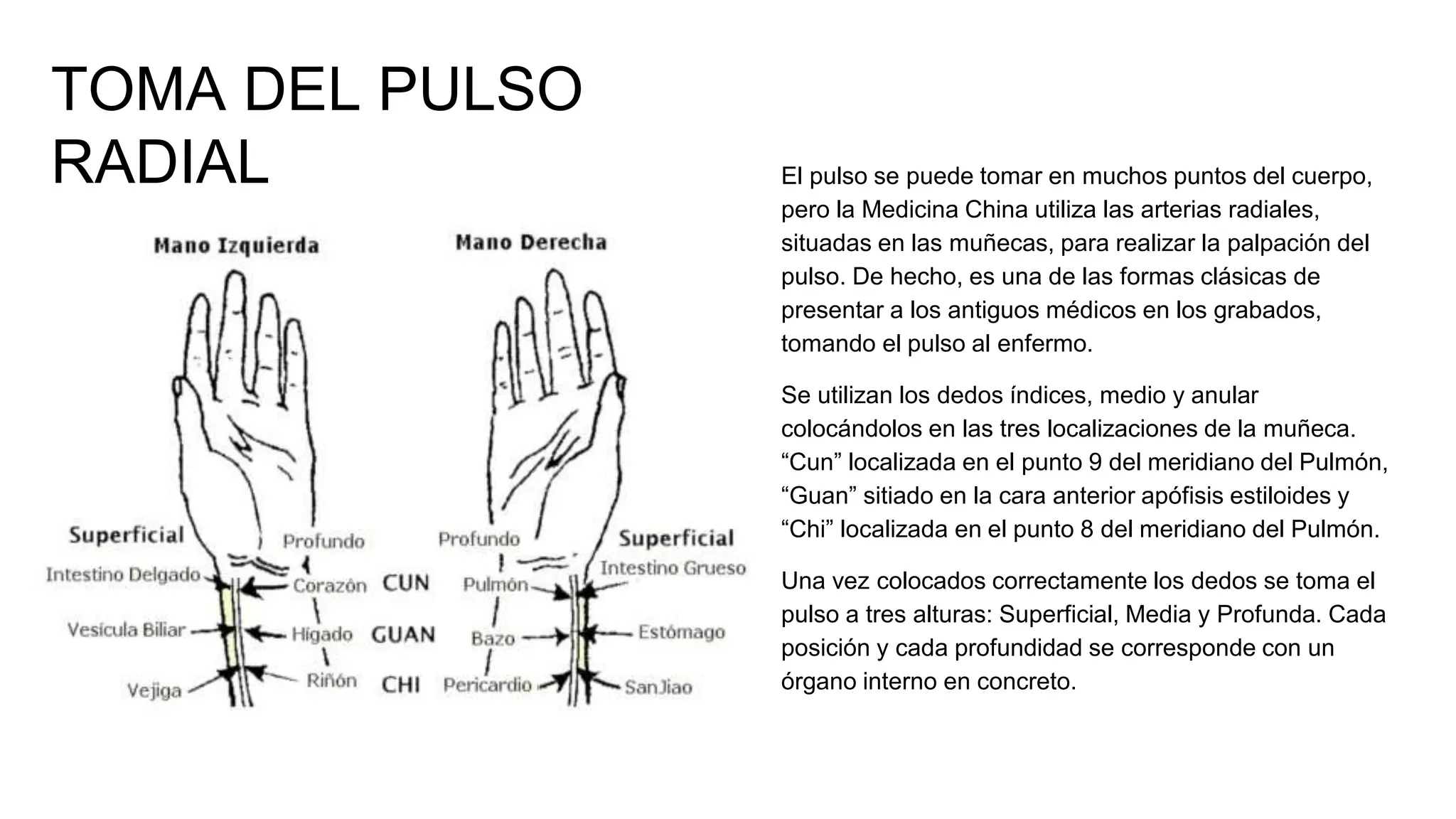 ANATOMIA DE ESPACIO INTERCOSTAL Y MEDICIÓN DE PULSO ARTERIAL | PPTX ...