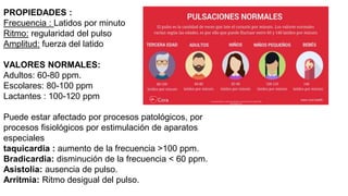 ANATOMIA DE ESPACIO INTERCOSTAL Y MEDICIÓN DE PULSO ARTERIAL | PPTX