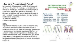 ANATOMIA DE ESPACIO INTERCOSTAL Y MEDICIÓN DE PULSO ARTERIAL | PPTX