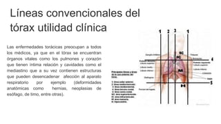 ANATOMIA DE ESPACIO INTERCOSTAL Y MEDICIÓN DE PULSO ARTERIAL | PPTX