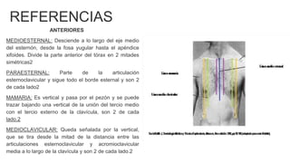 ANATOMIA DE ESPACIO INTERCOSTAL Y MEDICIÓN DE PULSO ARTERIAL | PPTX