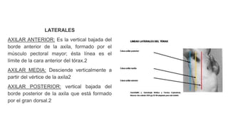 ANATOMIA DE ESPACIO INTERCOSTAL Y MEDICIÓN DE PULSO ARTERIAL | PPTX