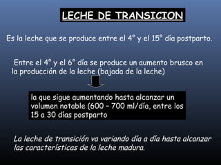Diapos lactancia materna | PPT