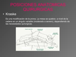 Planos corporales y Puntos de Reparo | PPT