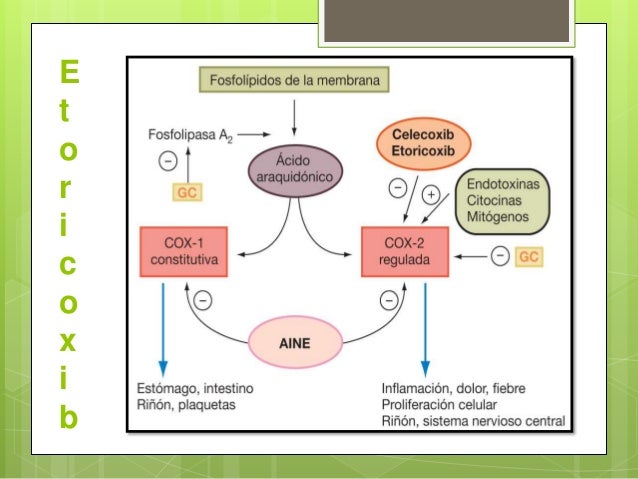 FARMACOLOGIA CELECOXIB