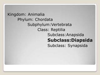 Diapsids | PPTX