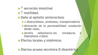 Diarrea | PPTX
