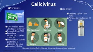 DIARREA AGENTES VIRALES: CALICIVIRUS, NOROVIRUS, SAPOVIRUS, ADENOVIRUS ...