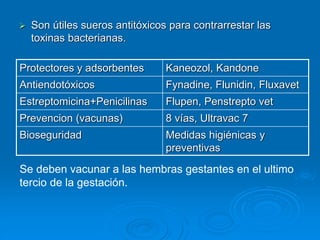 Diarreas neonatales en rumiantes | PPT