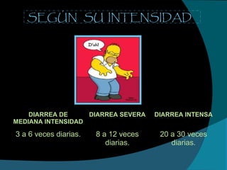 Diarreas semiologia . Anshela Yapapasca Pasapera | PPT