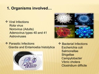 Diarrhea | PPT