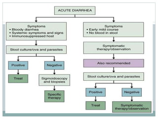 Diarrhea | PPTX
