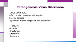 Diarrhea - a detailed study (symptoms, management ,all medical aspects ...