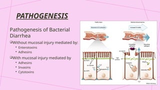 Diarrhea (symptoms, causes, organisms, types, treatment) | PPTX