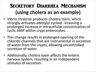 DIARRHEA pathophysiology and management. | PDF