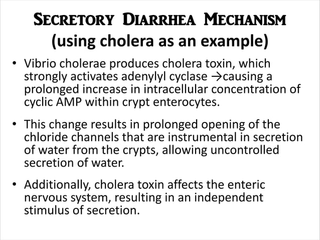 DIARRHEA pathophysiology and management. | PDF